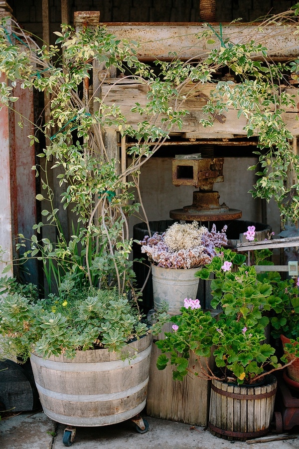 Rustic Winery Wedding in Southern California - Hey Wedding Lady