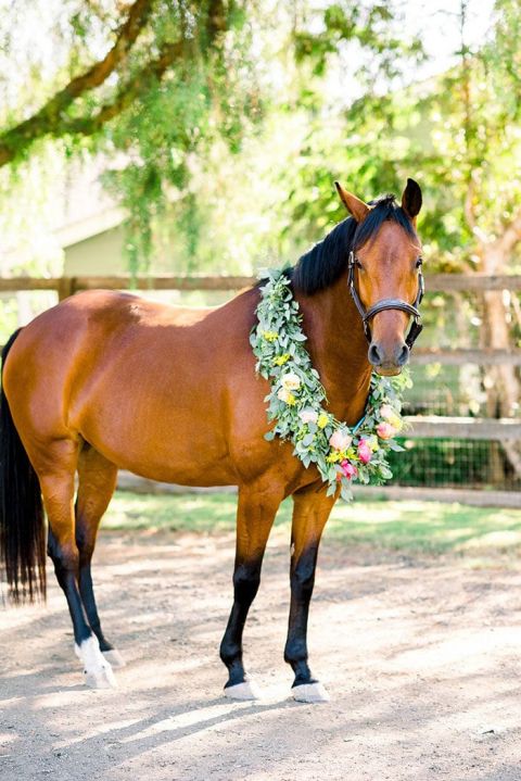 Colorful Preppy Portraits for the Equestrian Bride - Hey Wedding Lady