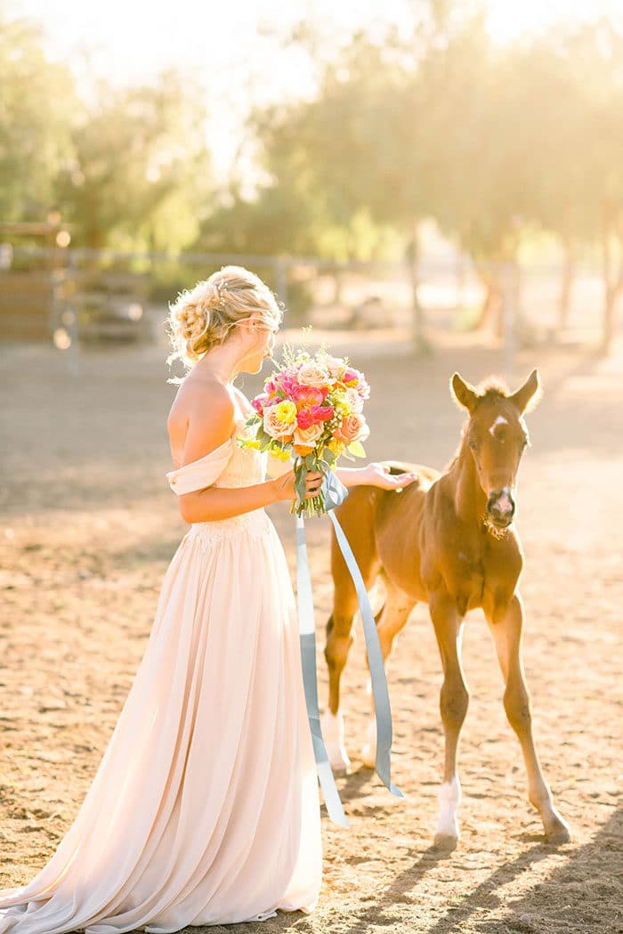 Colorful Preppy Portraits for the Equestrian Bride - Hey Wedding Lady