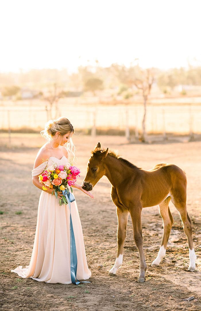 Colorful Preppy Portraits for the Equestrian Bride - Hey Wedding Lady